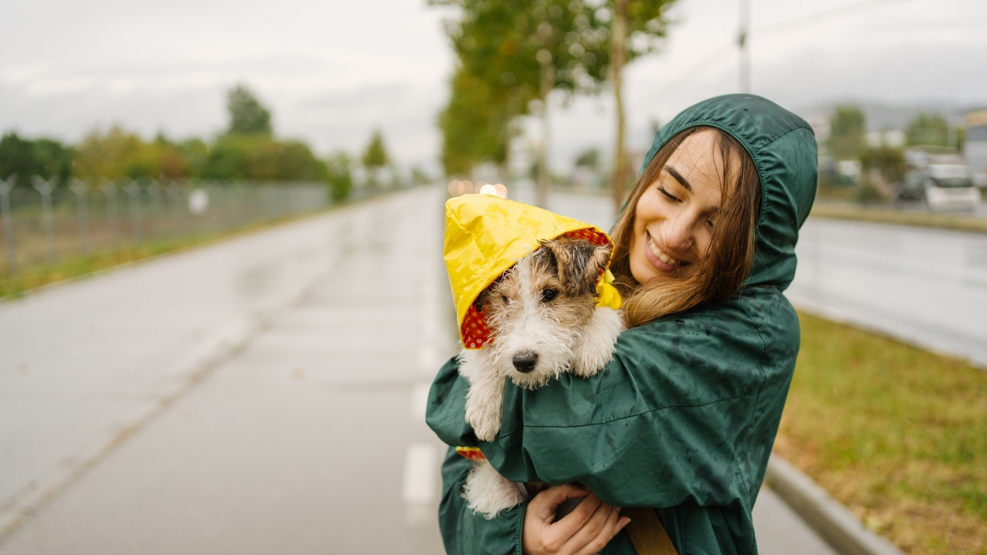 Коя е най-малката порода кучета? | Actualno.com