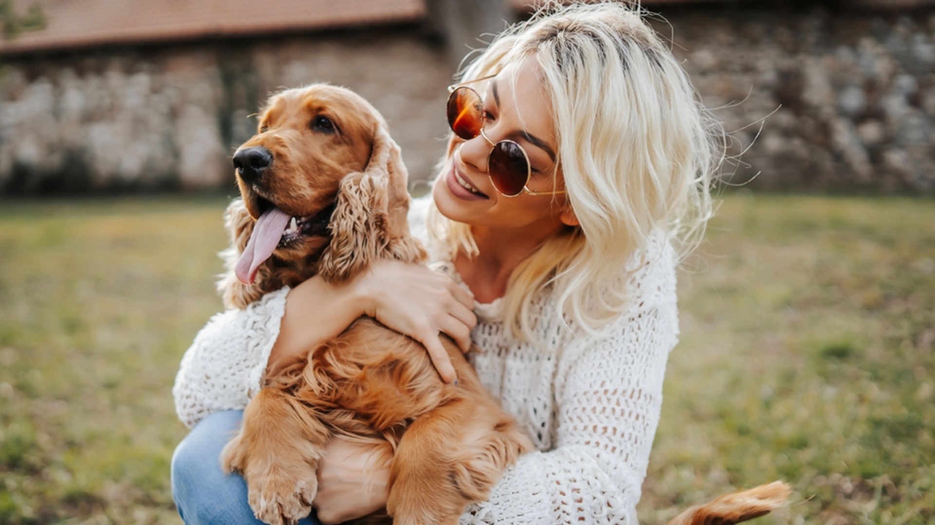 Защо вашият домашен любимец толкова обича да се въргаля в калта ...