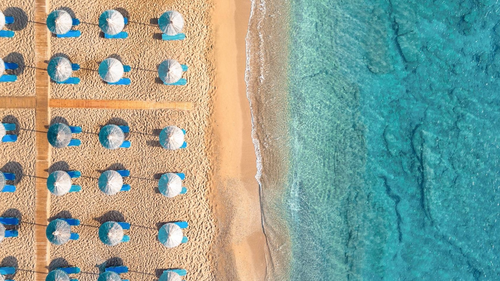 Летящи хлебарки заляха част от Гърция | Actualno.com