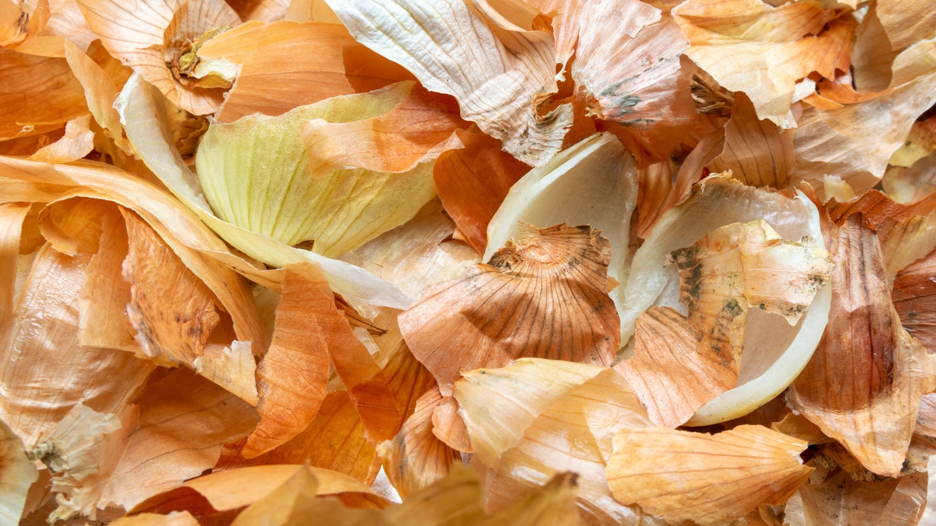 Люспи от лук: Защо никога не трябва да ги изхвърляте | Actualno.com