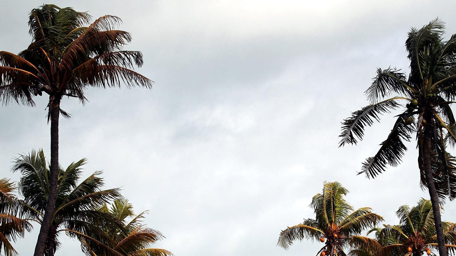 Тревога в Индия: Евакуираха стотици хиляди хора заради тропическа буря ...