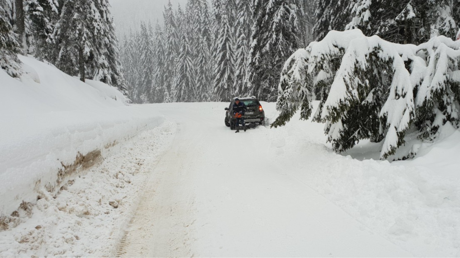 Сняг вали в почти цялата област Смолян, има закъсали коли на пътя за ...