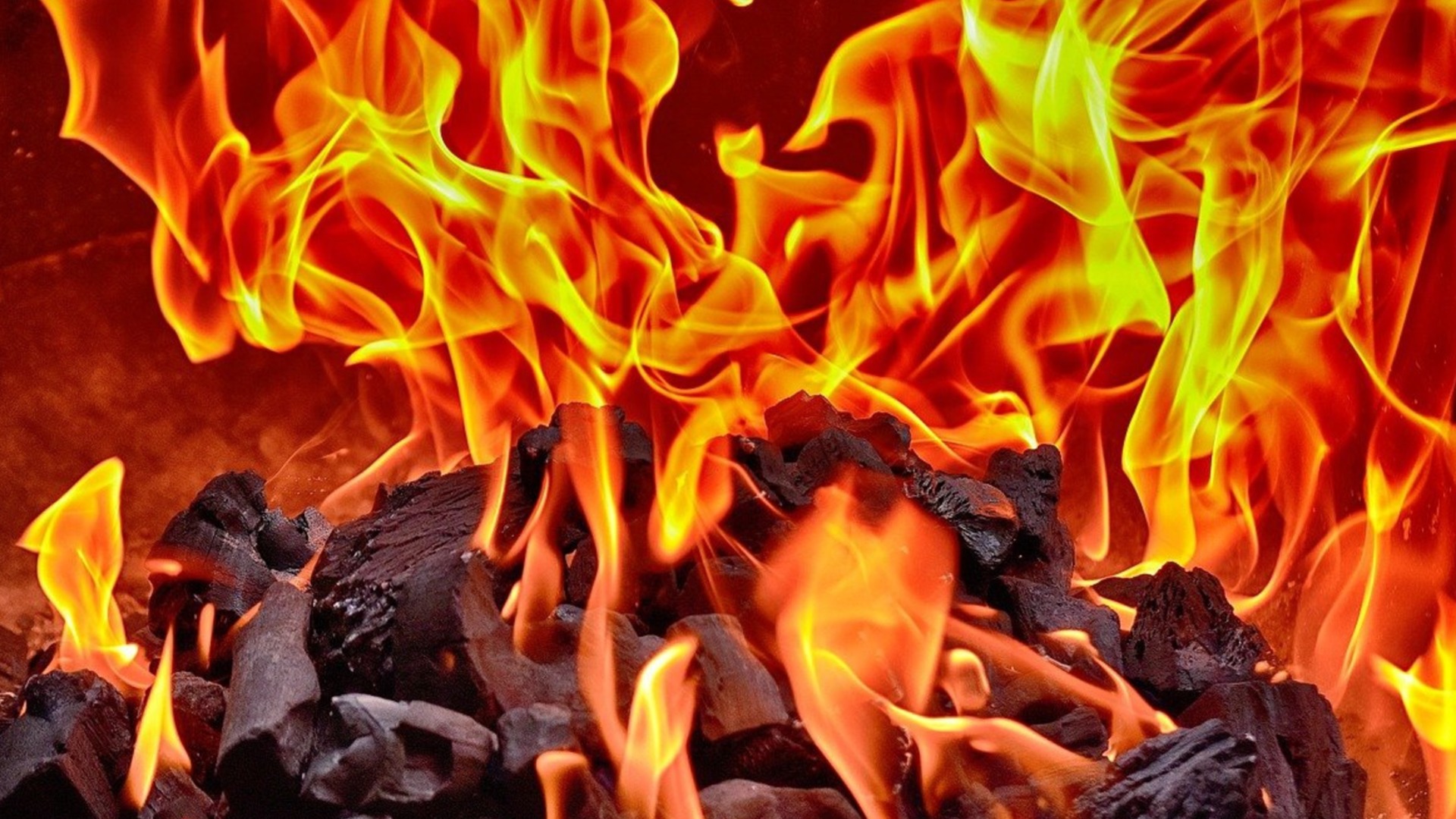 На 9 януари: Числото 9 ще запали огъня на щастието в живота на 4 зодии! | Actualno.com