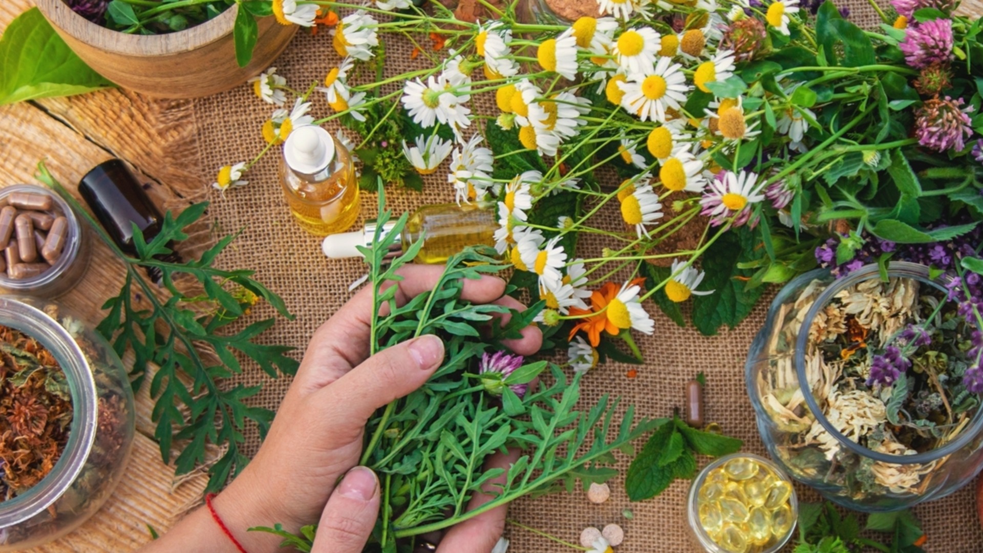 Природни средства: Силата на лечебните растения (част 2) | Actualno.com