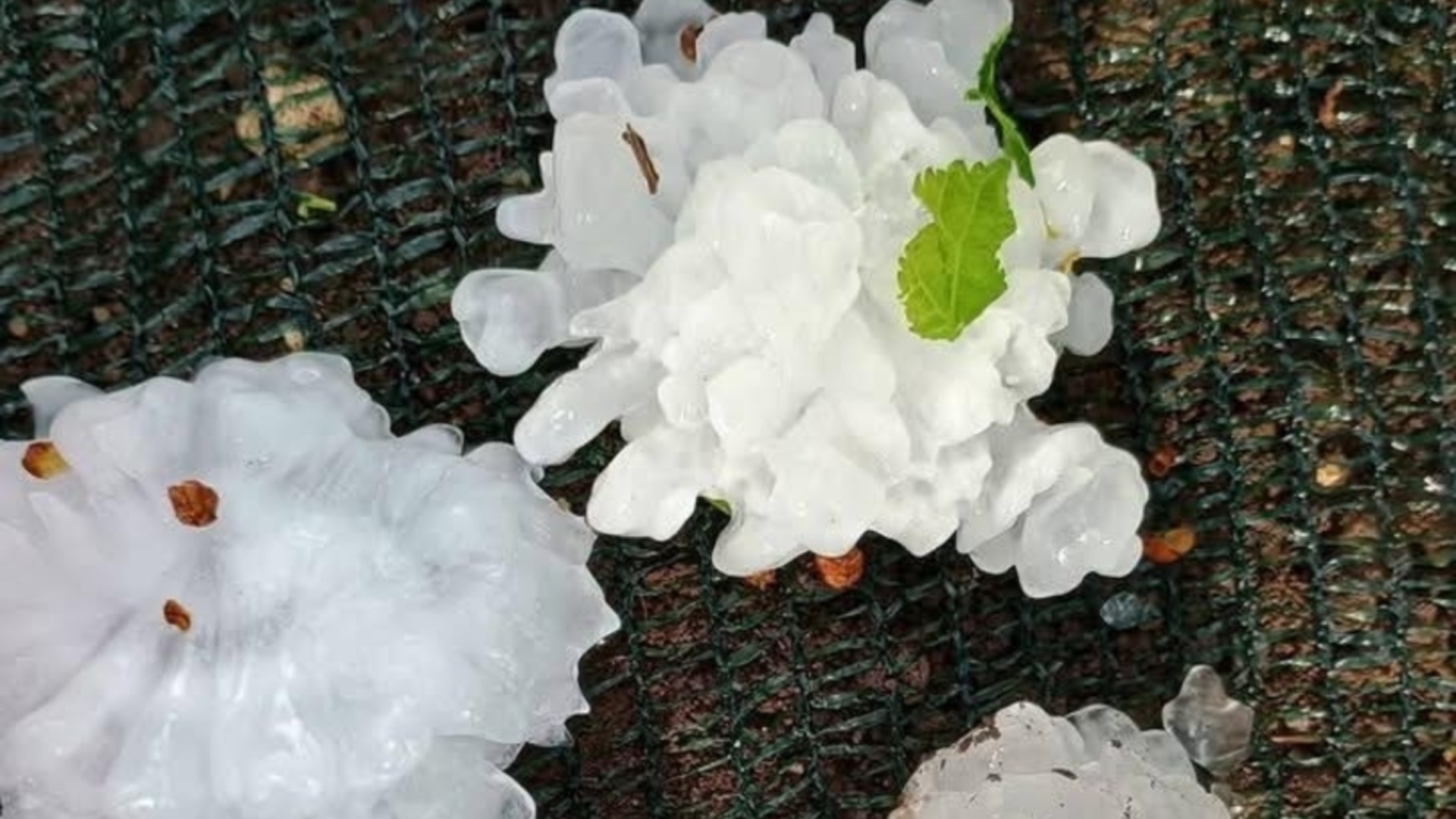 Нетипични градушки от "суперклетката" в Ямболско - причините (СНИМКИ ...