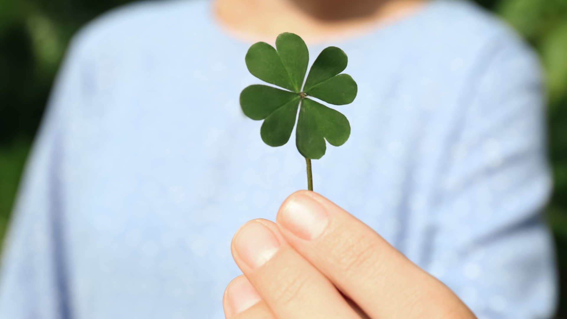 Огромен късмет връхлита тези зодии през сезона на лъва | Actualno.com