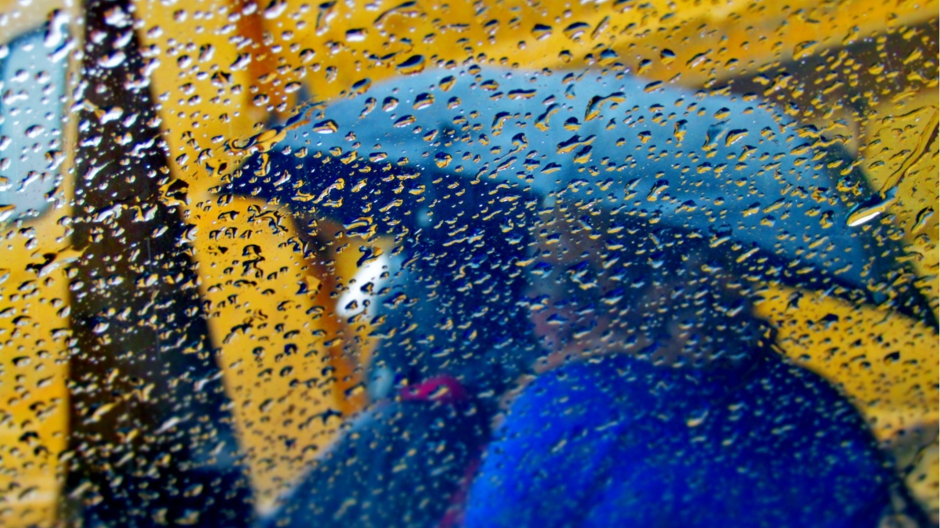 Идват интензивни валежи, а после? Николай Василковски с прогноза за ...