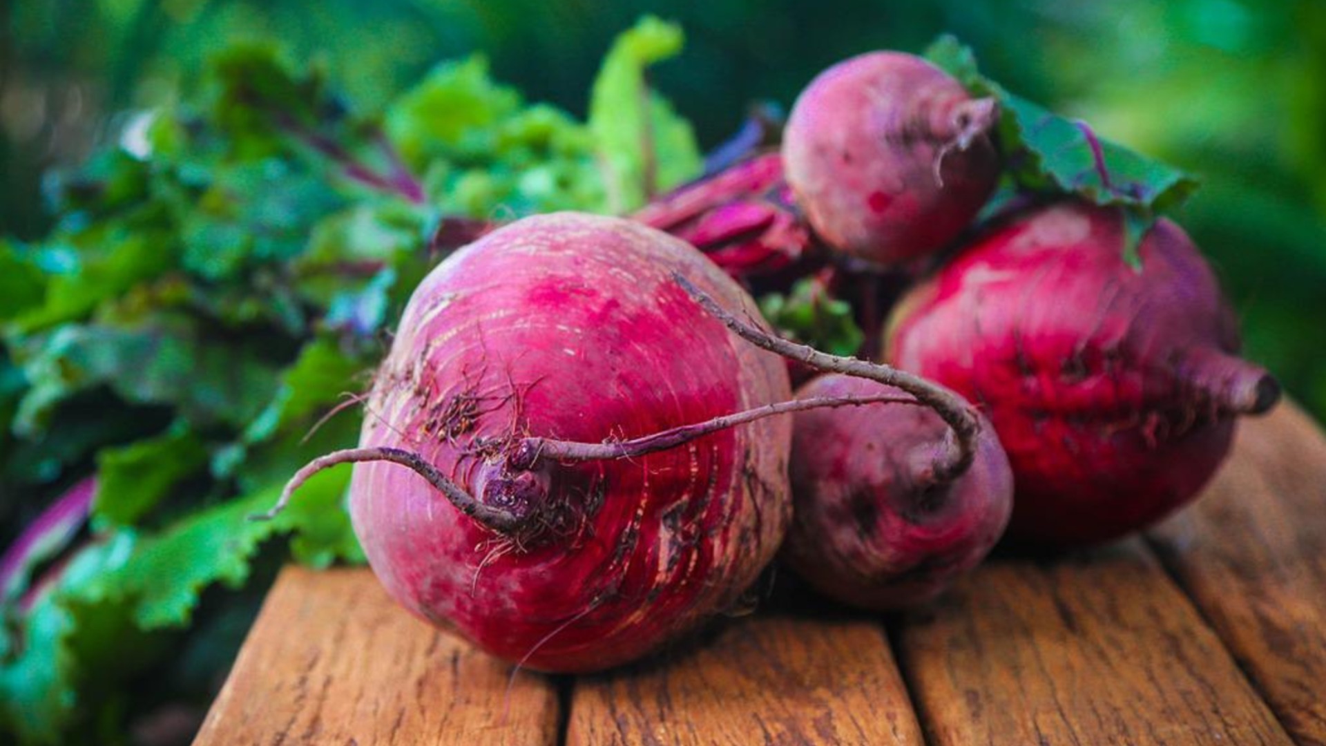 Кога е най-добре да се прибере реколтата на морковите и цвеклото, за да ...